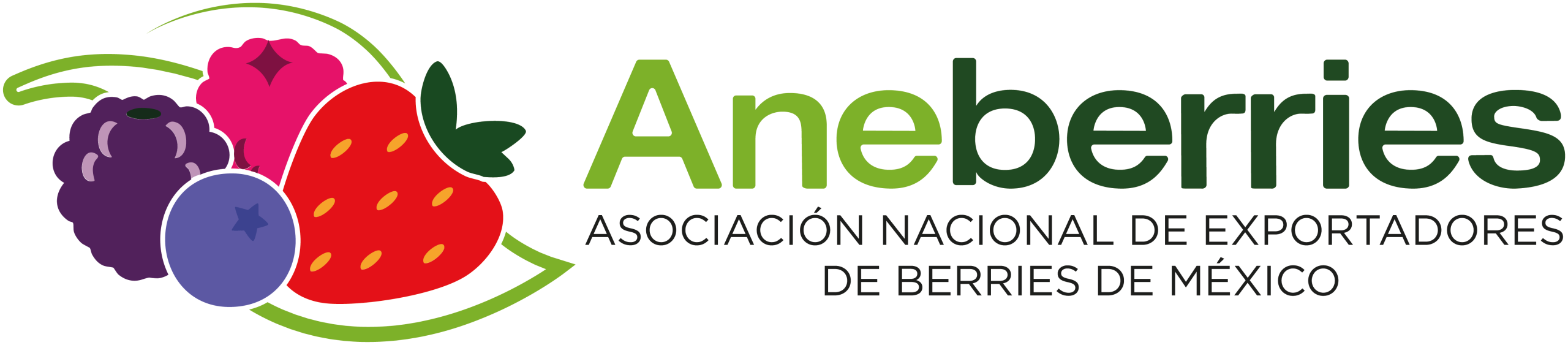 Cómo Producimos – Berries de Mexico